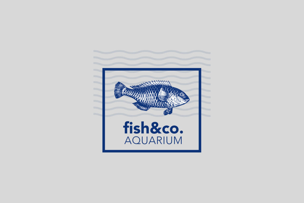 Fish&Co Aquarium – Kromolith